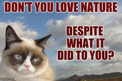DESPITE WHAT IT DID TO YOU? DON'T YOU LOVE NATURE meme - Piñata Farms ...