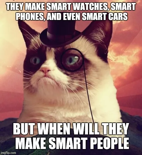 THEY MAKE SMART WATCHES, SMART PHONES, AND EVEN SMART CARS; BUT WHEN ...