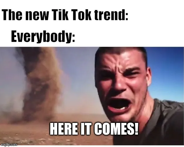 Everybody:; The new Tik Tok trend:; HERE IT COMES! meme - Piñata Farms ...