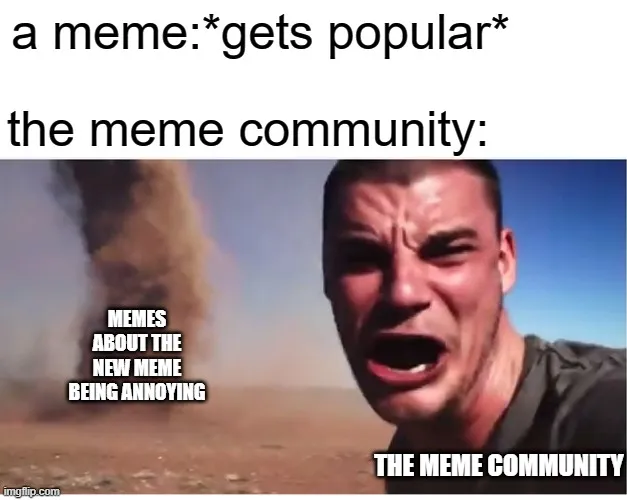a meme:*gets popular*; the meme community:; MEMES ABOUT THE NEW MEME ...