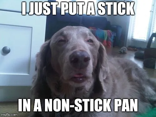 I JUST PUT A STICK; IN A NON-STICK PAN meme - Piñata Farms - The best ...