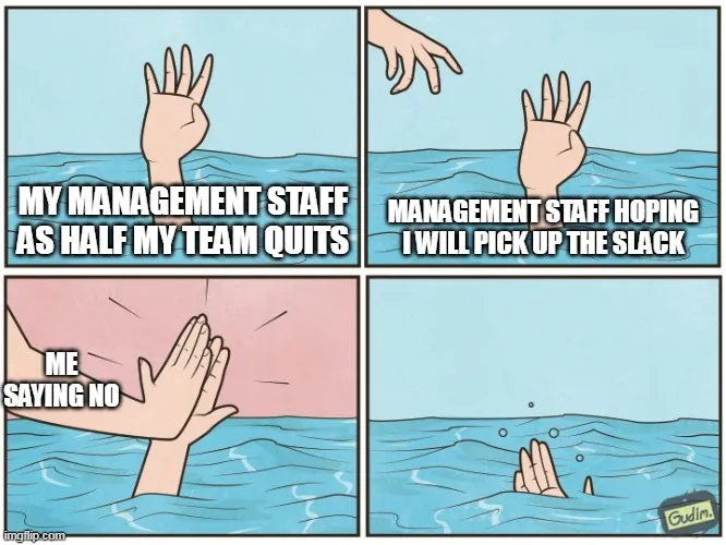 MY MANAGEMENT STAFF AS HALF MY TEAM QUITS; MANAGEMENT STAFF HOPING I ...