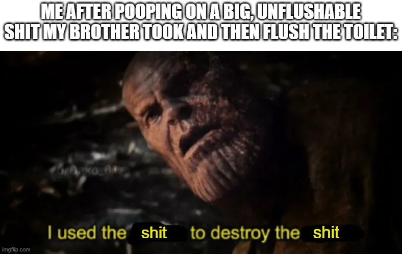 ME AFTER POOPING ON A BIG, UNFLUSHABLE SHIT MY BROTHER TOOK AND THEN ...