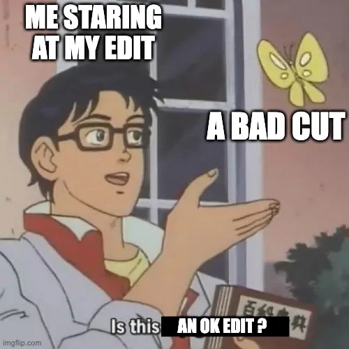 ME STARING AT MY EDIT; A BAD CUT; AN OK EDIT ? meme - Piñata Farms ...