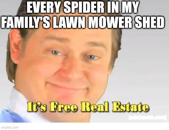 EVERY SPIDER IN MY FAMILY'S LAWN MOWER SHED meme - Piñata Farms - The ...