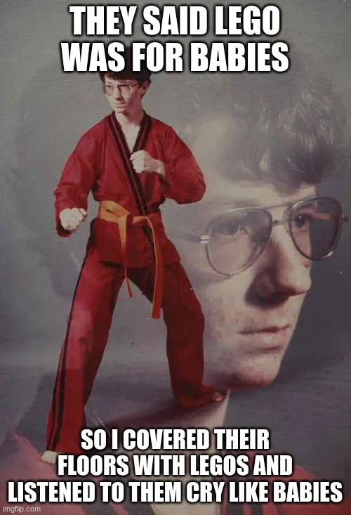 THEY SAID LEGO WAS FOR BABIES; SO I COVERED THEIR FLOORS WITH LEGOS AND ...