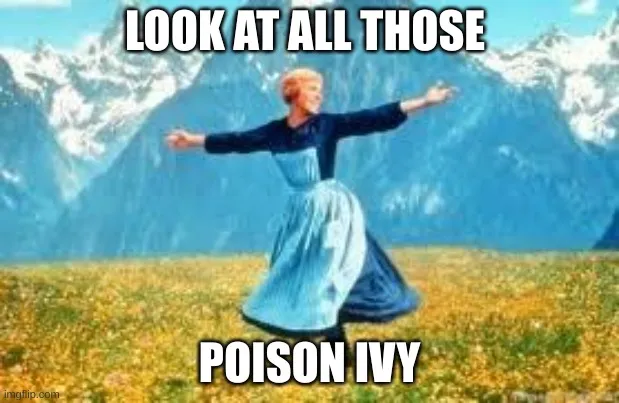 LOOK AT ALL THOSE; POISON IVY meme - Piñata Farms - The best meme ...