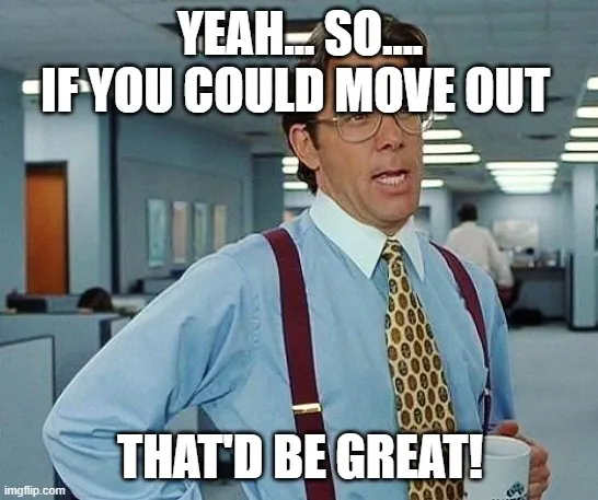 YEAH... SO.... IF YOU COULD MOVE OUT; THAT'D BE GREAT! meme - Piñata ...