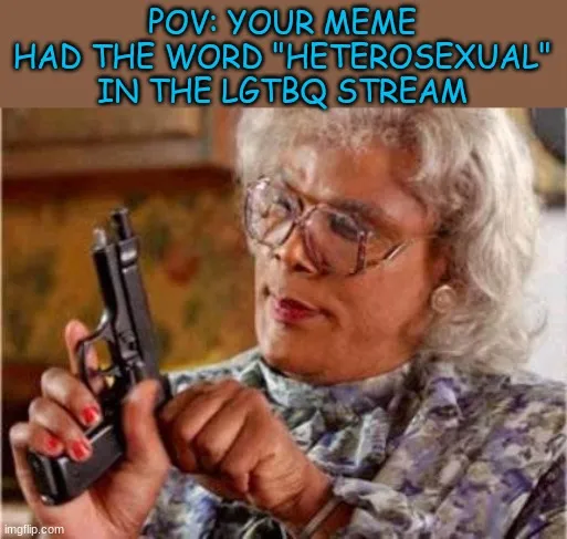 POV: YOUR MEME HAD THE WORD "HETEROSEXUAL" IN THE LGTBQ STREAM meme ...