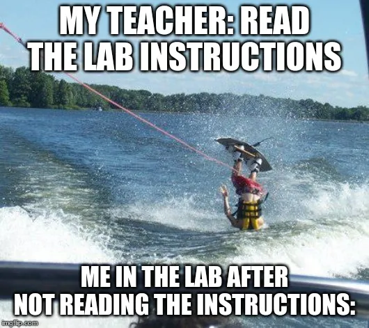 MY TEACHER: READ THE LAB INSTRUCTIONS; ME IN THE LAB AFTER NOT READING ...