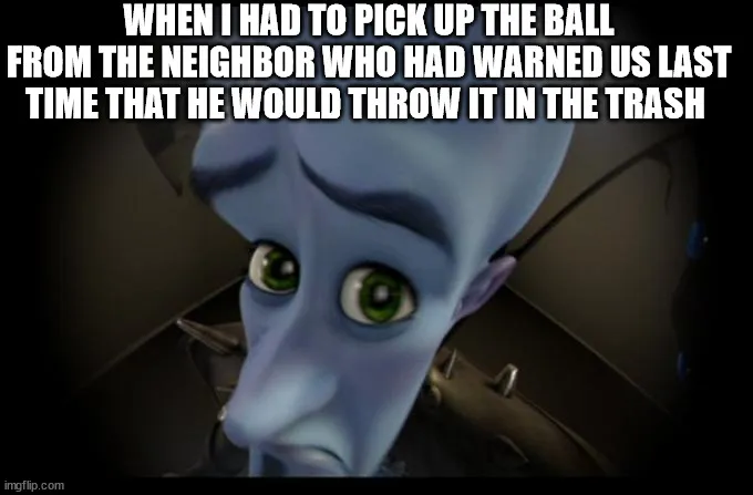 WHEN I HAD TO PICK UP THE BALL FROM THE NEIGHBOR WHO HAD WARNED US LAST ...