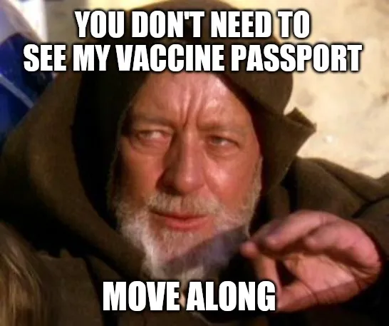 YOU DON'T NEED TO SEE MY VACCINE PASSPORT; MOVE ALONG meme - Piñata ...