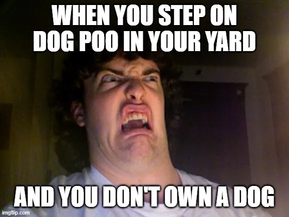 WHEN YOU STEP ON DOG POO IN YOUR YARD; AND YOU DON'T OWN A DOG meme ...