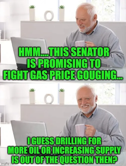 HMM....THIS SENATOR IS PROMISING TO FIGHT GAS PRICE GOUGING... I GUESS ...