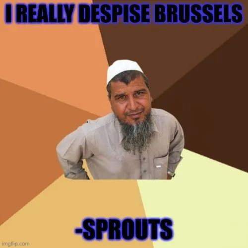 I REALLY DESPISE BRUSSELS; -SPROUTS meme - Piñata Farms - The best meme ...