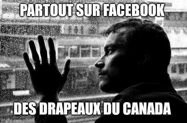 PARTOUT SUR FACEBOOK; DES DRAPEAUX DU CANADA meme - Piñata Farms - The ...