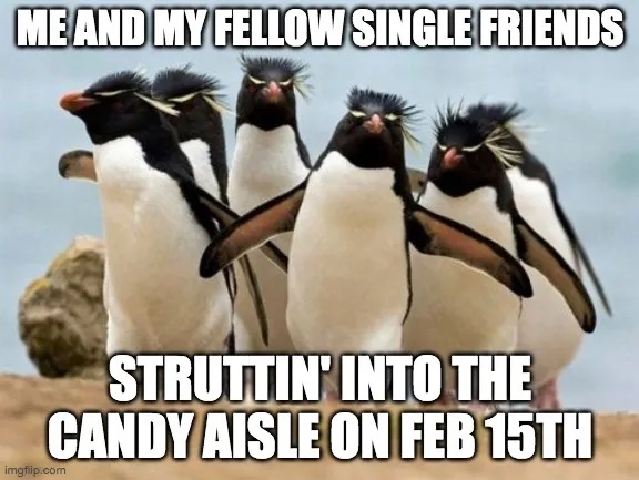 ME AND MY FELLOW SINGLE FRIENDS; STRUTTIN' INTO THE CANDY AISLE ON FEB ...
