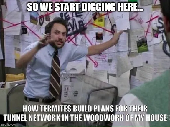 SO WE START DIGGING HERE... HOW TERMITES BUILD PLANS FOR THEIR TUNNEL ...