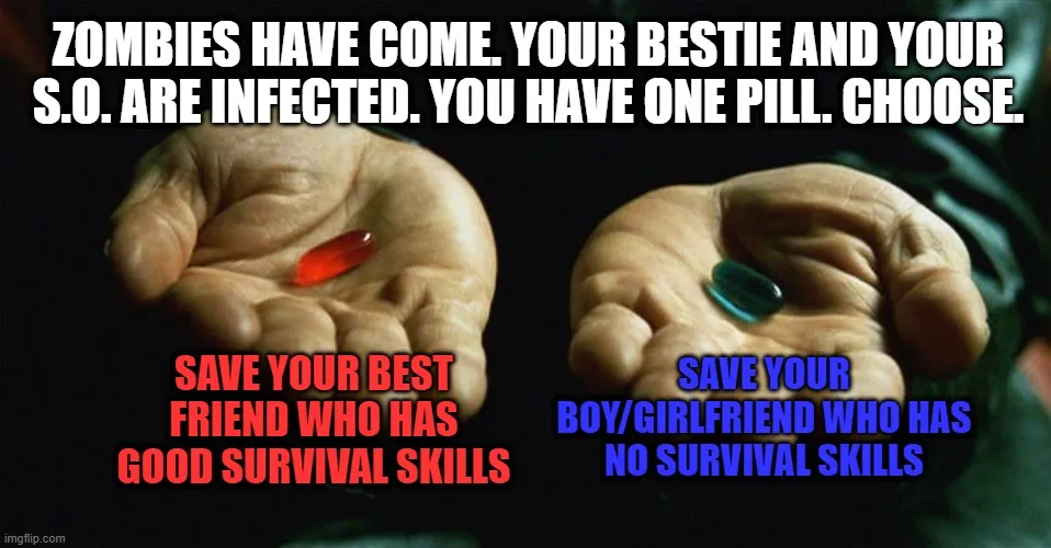 ZOMBIES HAVE COME. YOUR BESTIE AND YOUR S.O. ARE INFECTED. YOU HAVE ONE ...