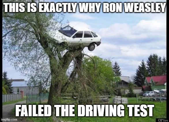 THIS IS EXACTLY WHY RON WEASLEY; FAILED THE DRIVING TEST meme - Piñata ...