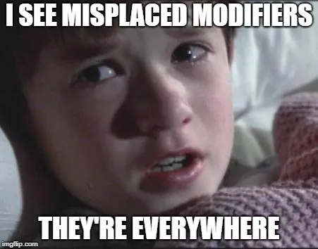 I SEE MISPLACED MODIFIERS; THEY'RE EVERYWHERE meme - Piñata Farms - The ...