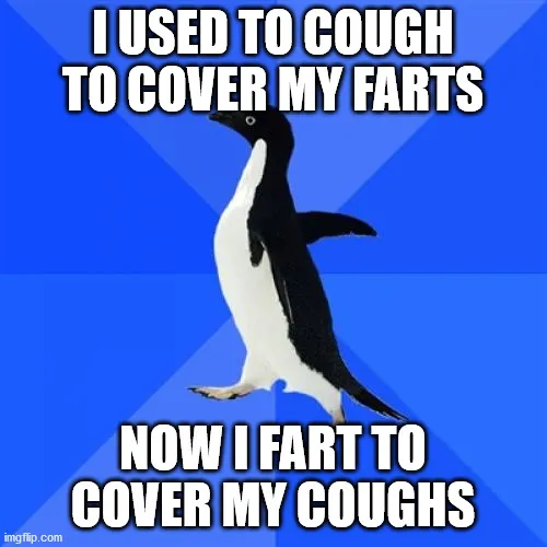 I USED TO COUGH TO COVER MY FARTS; NOW I FART TO COVER MY COUGHS meme ...
