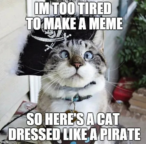 IM TOO TIRED TO MAKE A MEME SO HERE'S A CAT DRESSED LIKE A PIRATE meme ...