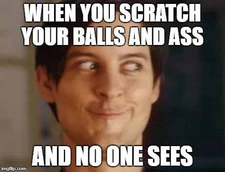 WHEN YOU SCRATCH YOUR BALLS AND ASS; AND NO ONE SEES meme - Piñata ...