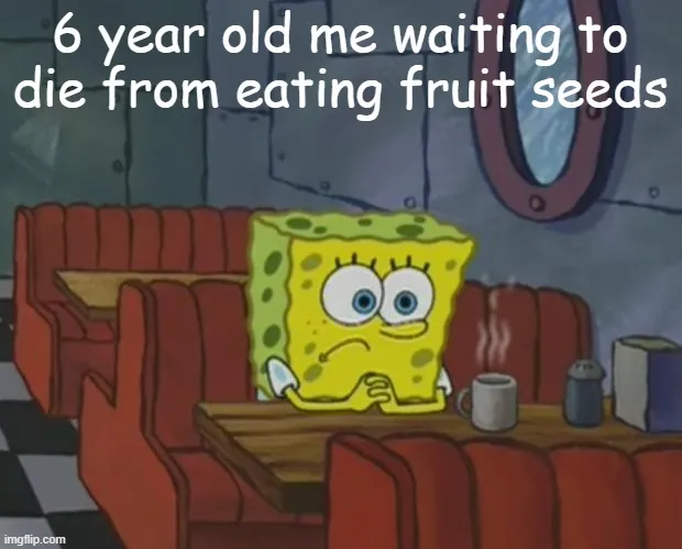 6 year old me waiting to die from eating fruit seeds meme - Piñata ...
