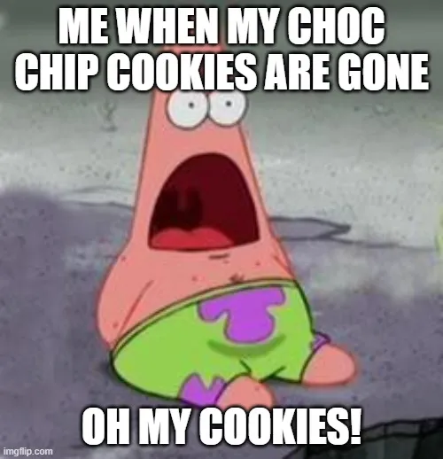 ME WHEN MY CHOC CHIP COOKIES ARE GONE; OH MY COOKIES! meme - Piñata ...