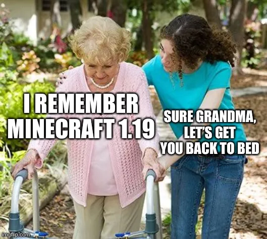 I REMEMBER MINECRAFT 1.19; SURE GRANDMA, LET’S GET YOU BACK TO BED meme ...