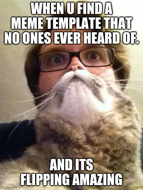 WHEN U FIND A MEME TEMPLATE THAT NO ONES EVER HEARD OF. AND ITS ...