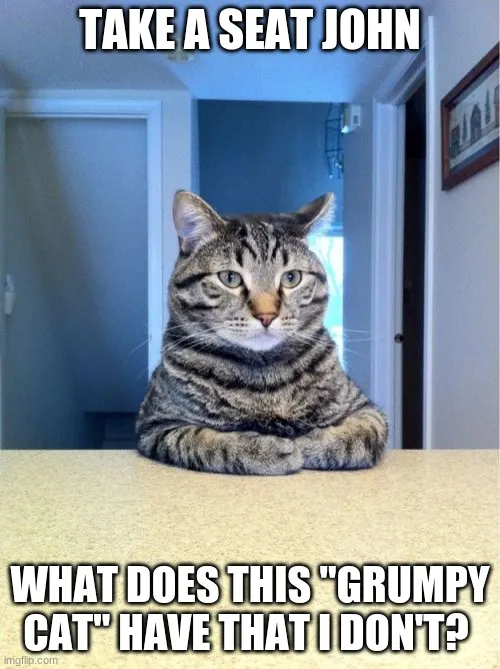 TAKE A SEAT JOHN; WHAT DOES THIS "GRUMPY CAT" HAVE THAT I DON'T? meme ...