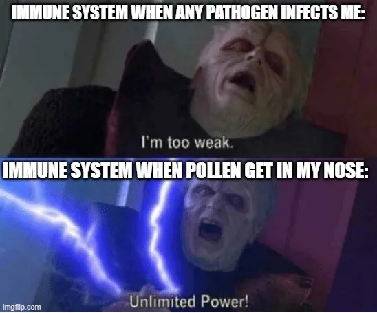 IMMUNE SYSTEM WHEN ANY PATHOGEN INFECTS ME:; IMMUNE SYSTEM WHEN POLLEN ...