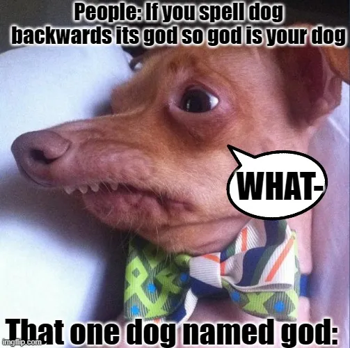 People: If you spell dog backwards its god so god is your dog; WHAT ...