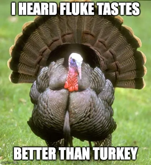 I HEARD FLUKE TASTES; BETTER THAN TURKEY meme - Piñata Farms - The best ...