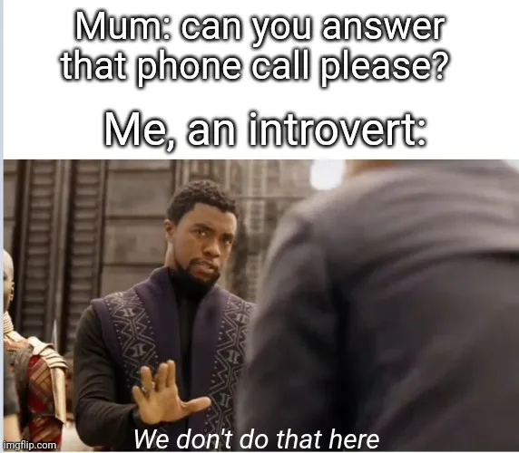 Mum: can you answer that phone call please? Me, an introvert:; We don't ...