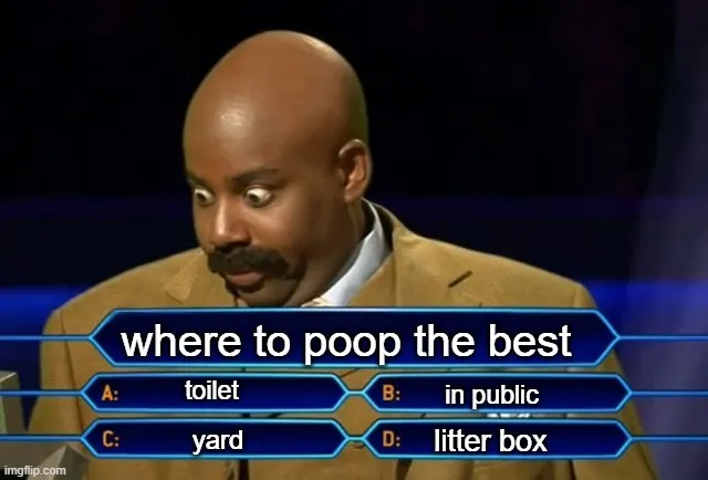 where to poop the best; toilet; in public; litter box; yard meme ...