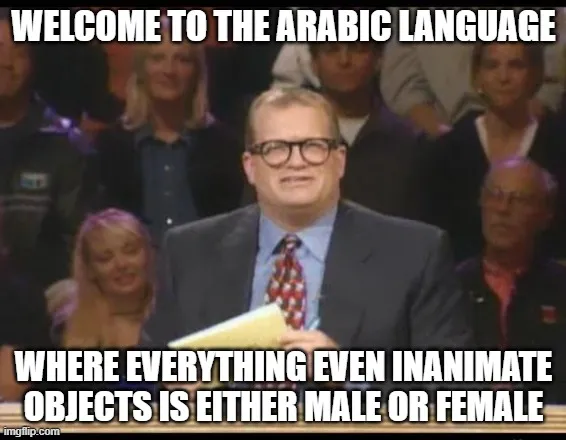 WELCOME TO THE ARABIC LANGUAGE; WHERE EVERYTHING EVEN INANIMATE OBJECTS ...