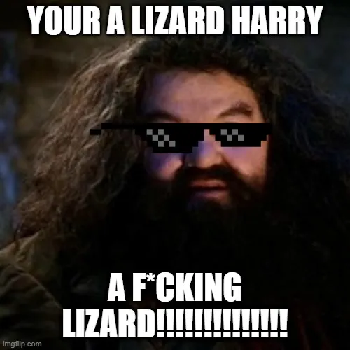 YOUR A LIZARD HARRY; A F*CKING LIZARD!!!!!!!!!!!!!! meme - Piñata Farms ...