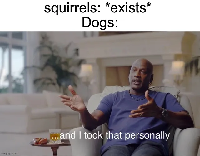 squirrels: *exists* Dogs: meme - Piñata Farms - The best meme generator ...