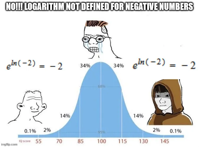 NO!!! LOGARITHM NOT DEFINED FOR NEGATIVE NUMBERS meme - Piñata Farms ...