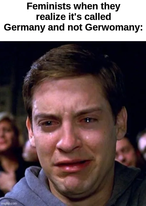 Feminists when they realize it's called Germany and not Gerwomany: meme ...