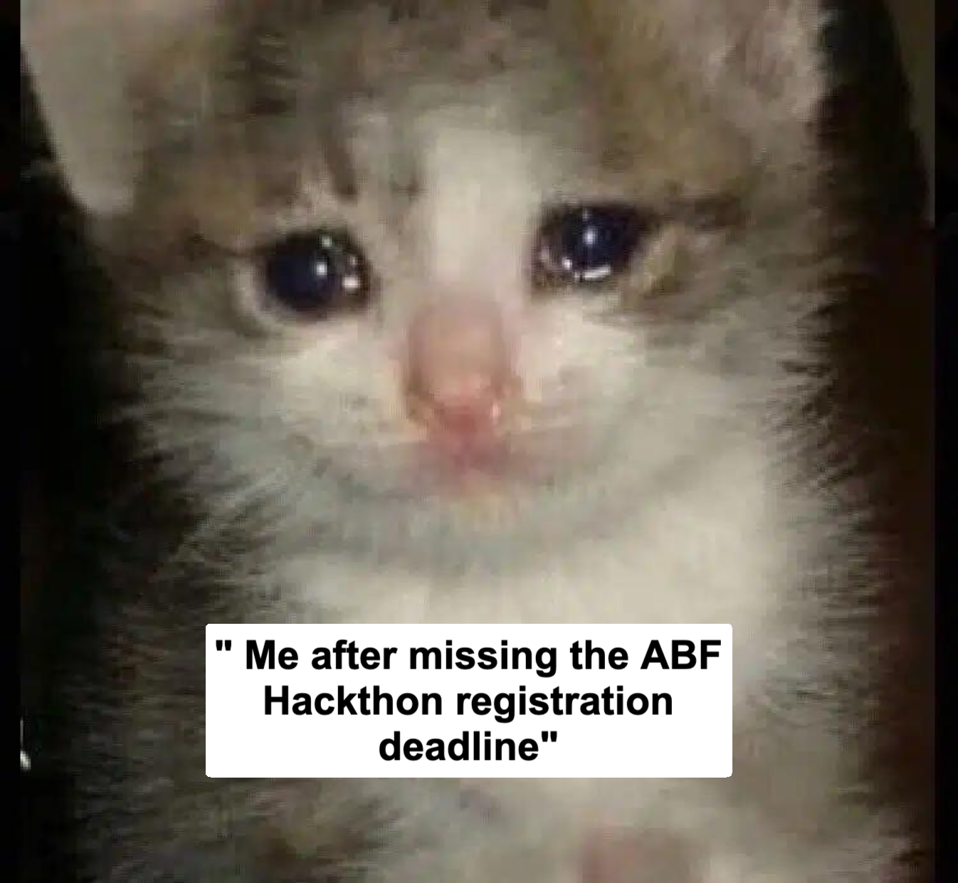 Meme - Piñata Farms - The best meme generator and meme maker for video ...