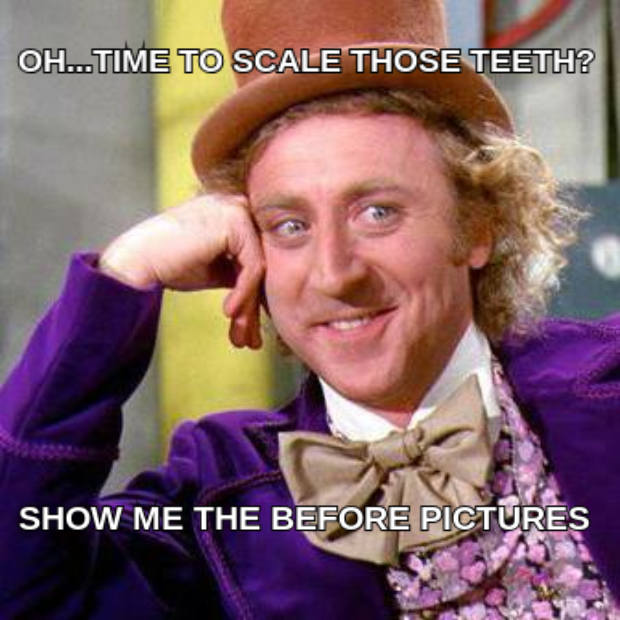 Meme - Piñata Farms - The best meme generator and meme maker for video ...