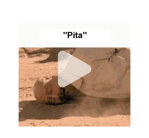 Video Meme - Piñata Farms - The best meme generator and meme maker for ...