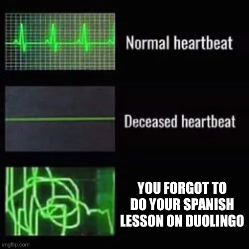 YOU FORGOT TO DO YOUR SPANISH LESSON ON DUOLINGO meme - Piñata Farms ...