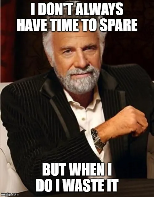 I DON'T ALWAYS HAVE TIME TO SPARE; BUT WHEN I DO I WASTE IT meme ...
