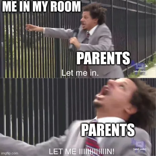 ME IN MY ROOM; PARENTS; PARENTS meme - Piñata Farms - The best meme ...