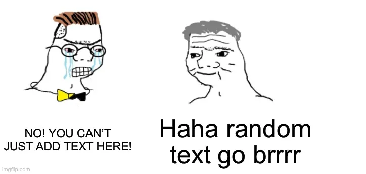 NO! YOU CAN’T JUST ADD TEXT HERE! Haha random text go brrrr meme ...